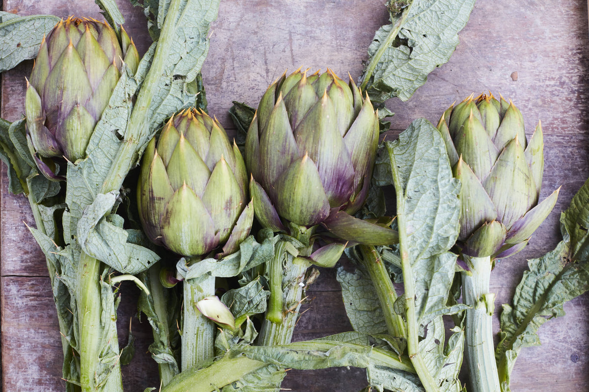 Artichoke | Ottolenghi